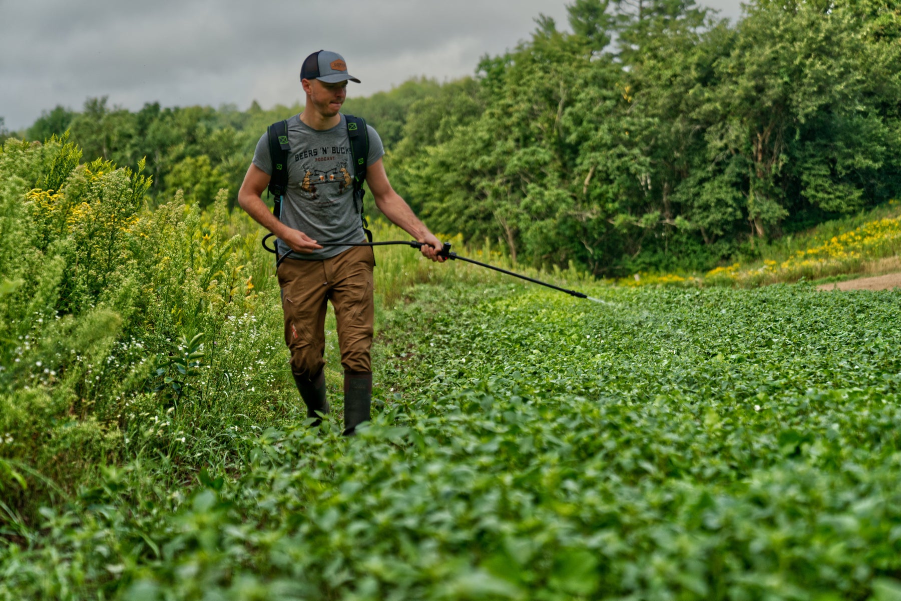 Domain Outdoor - Food Plots - Deer Food Seed Plots