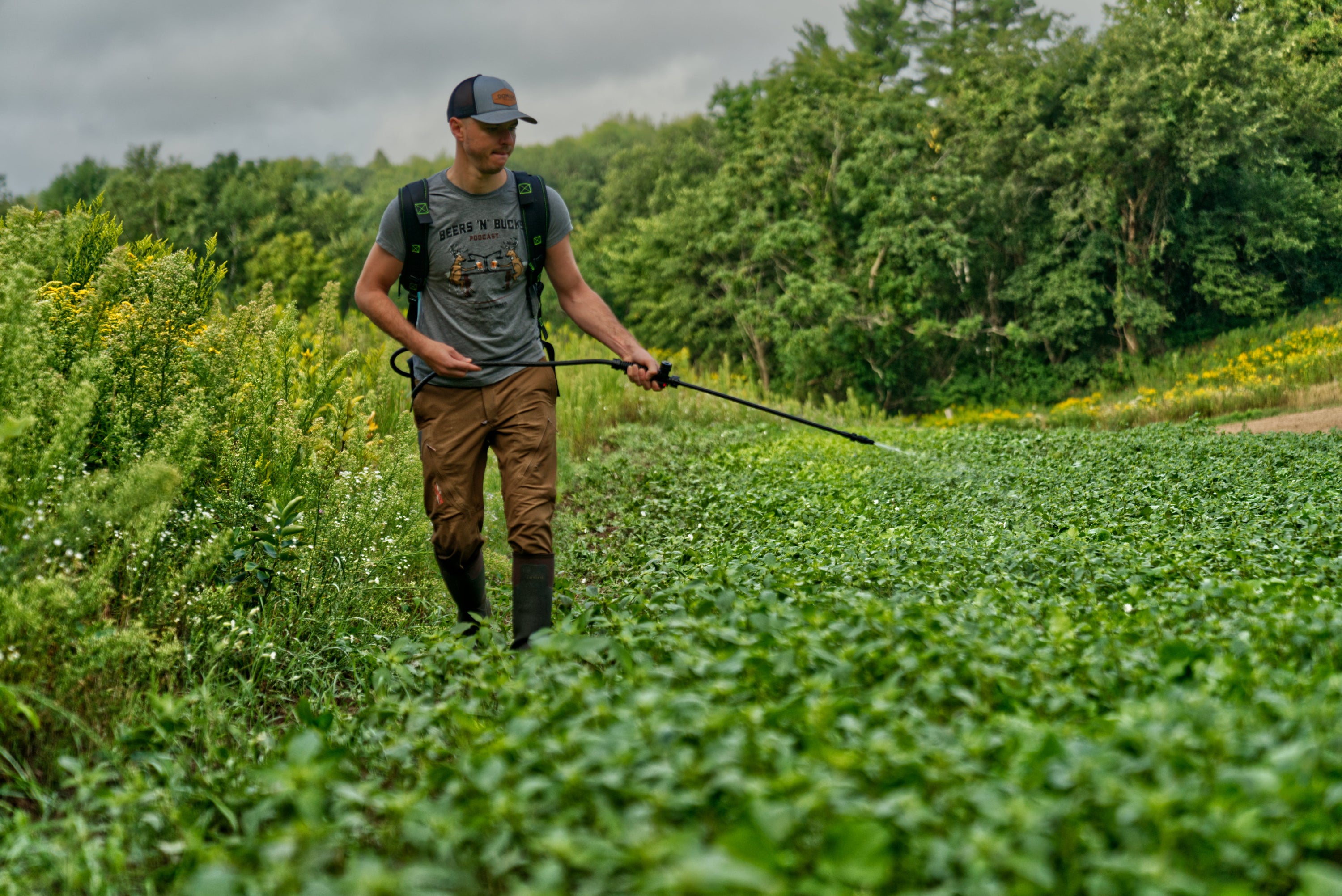 How to Select the Right Food Plot Seed Mix for Your Property - Domain ...
