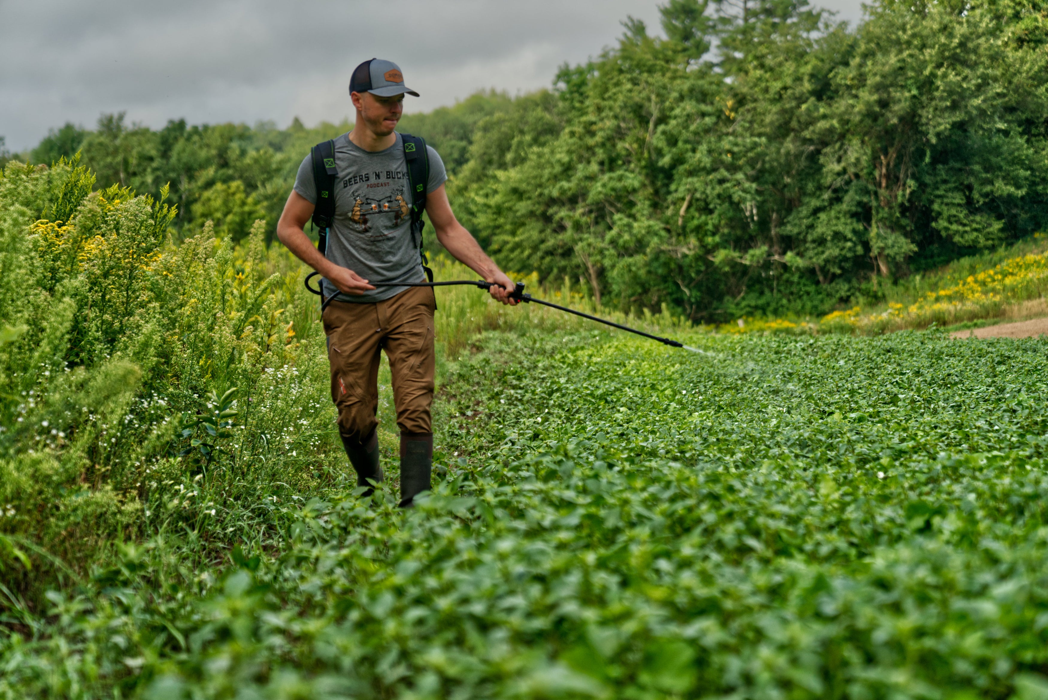 How to Select the Right Food Plot Seed Mix for Your Property - Domain ...