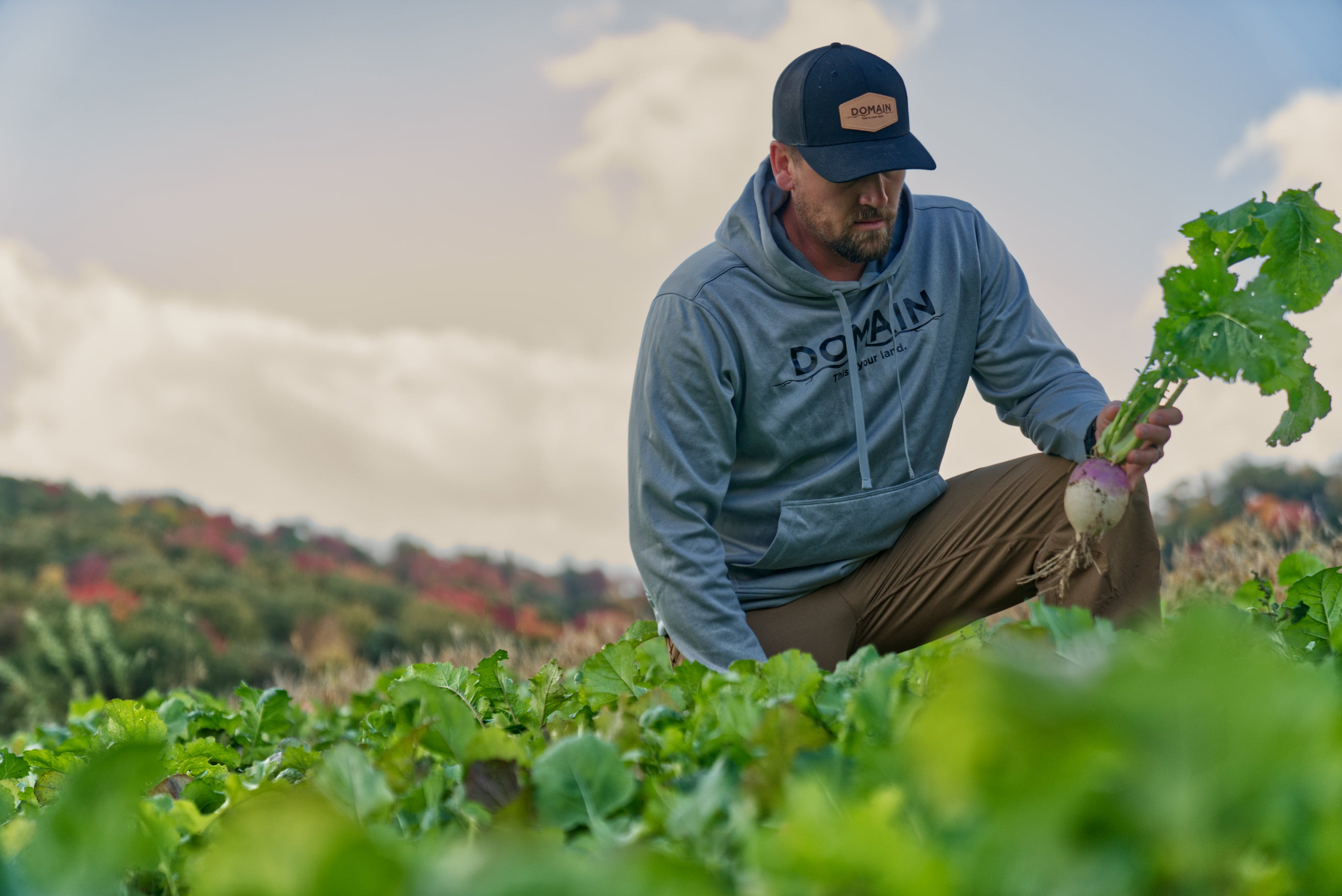 Building Better Habitat – How to Optimize Your Property for Whitetail ...