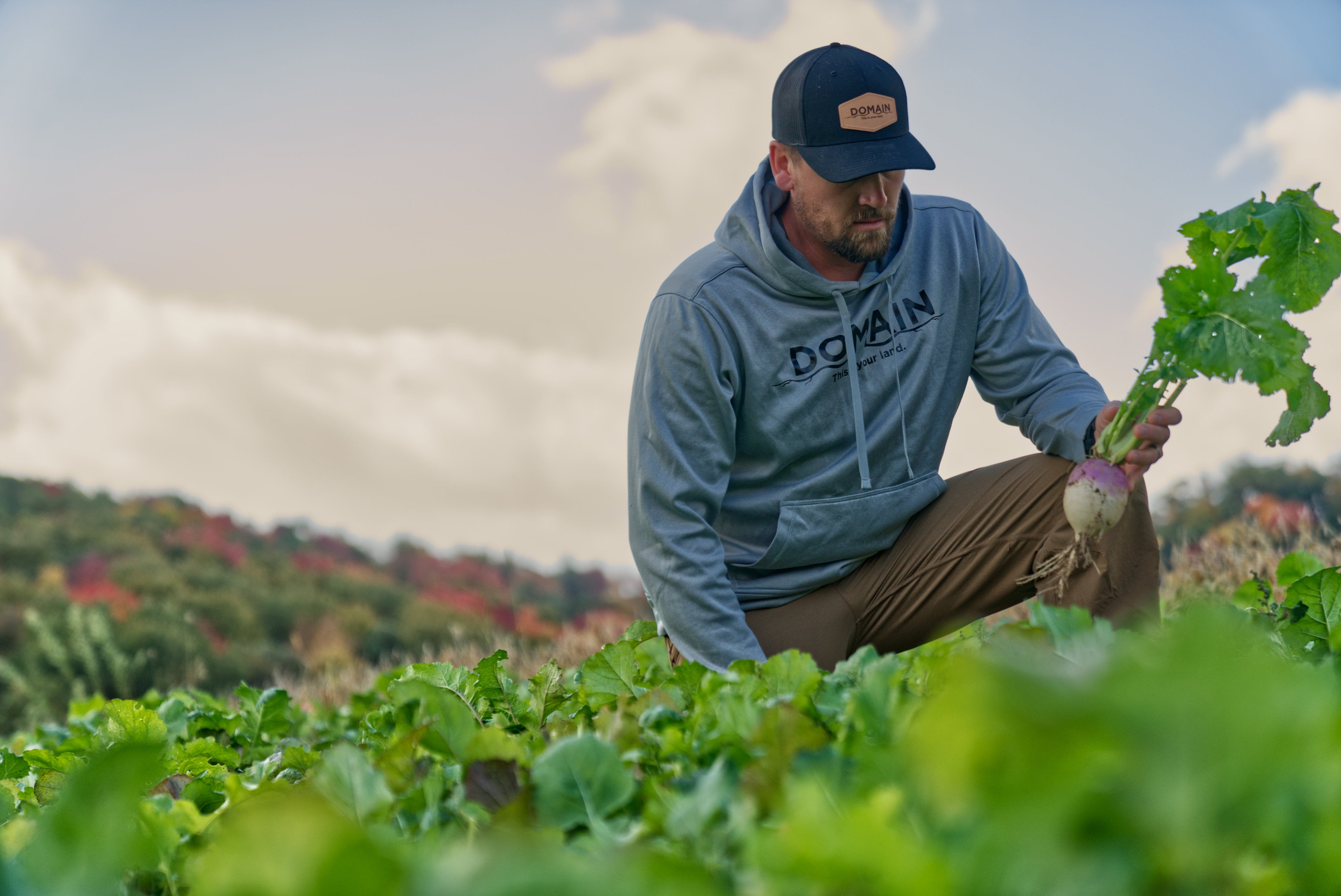 No Till Food Plots for Deer - Domain Outdoor