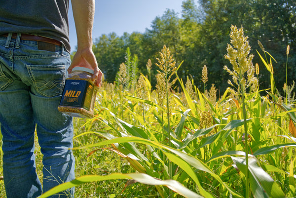 Milo Food Plot Seed - Domain Outdoor
