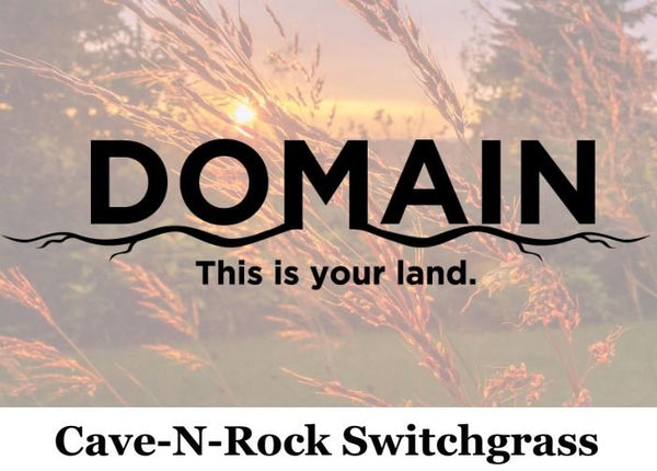 Cave-N-Rock Switchgrass – 5 lbs (1/2 Acre) Habitat Mix - Domain Outdoor