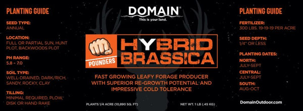 Domain Pounder - Hybrid Brassica - Domain Outdoor